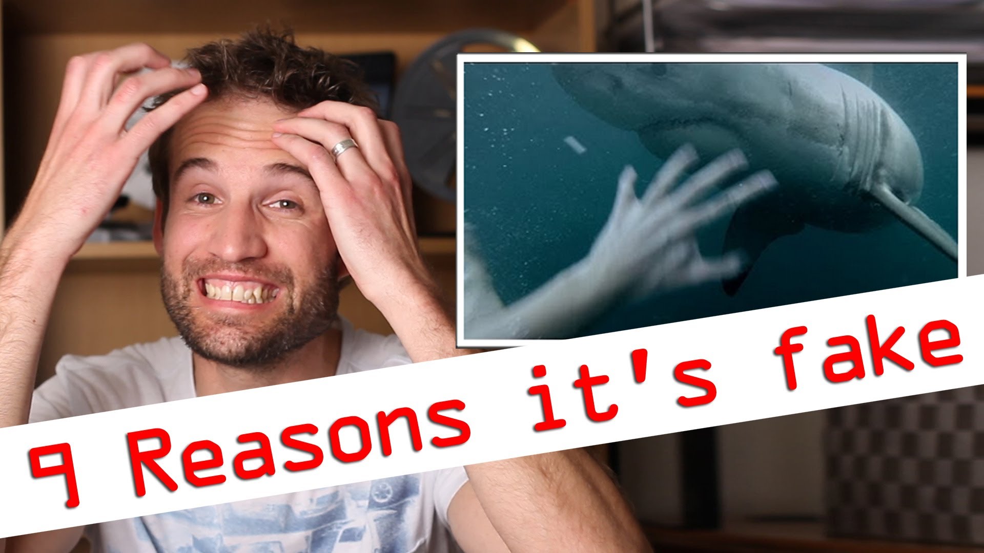 9 Reasons it’s Fake- “Man Fights Off Great White Shark In Sydney ...